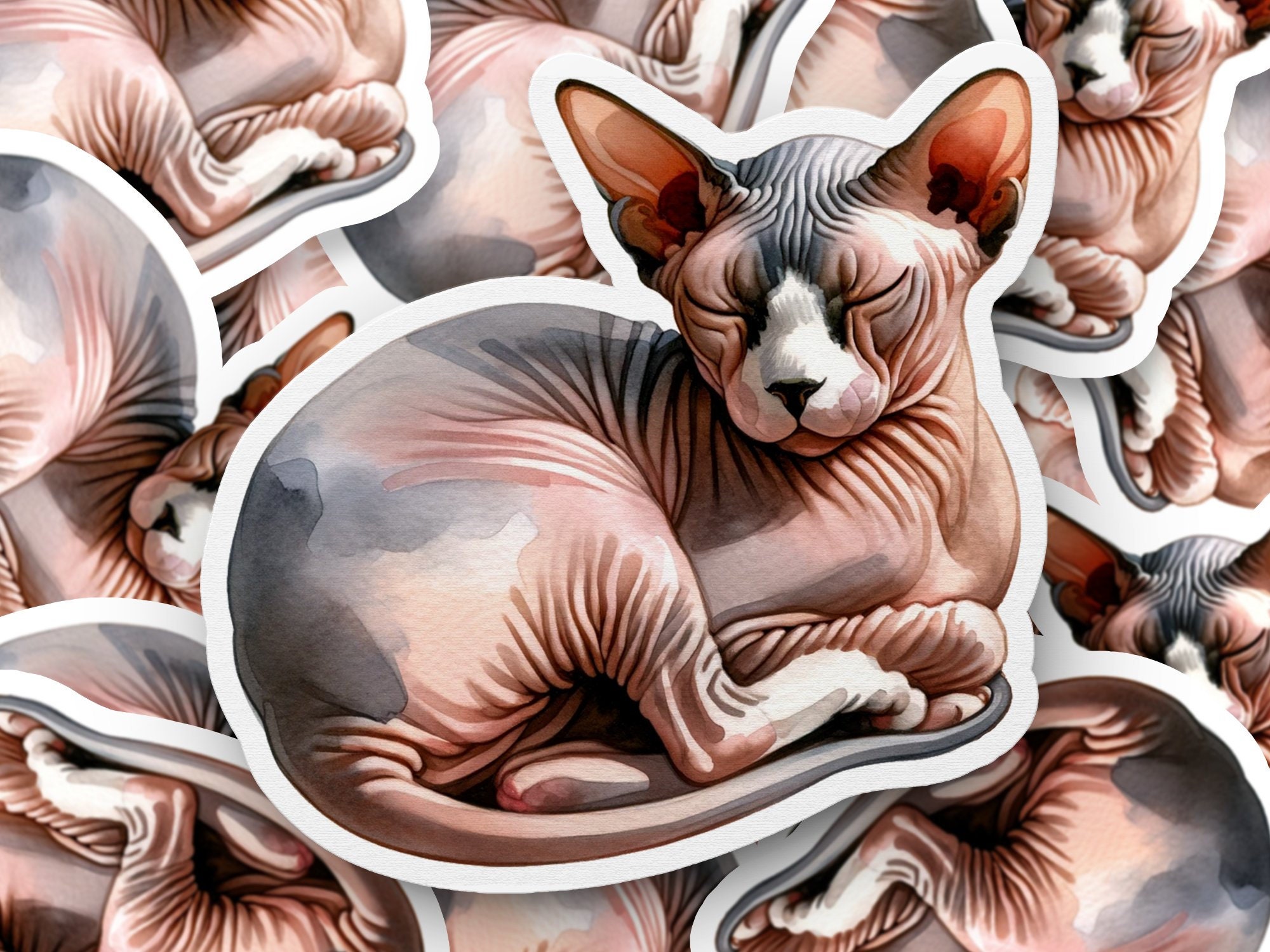 Sphynx Cat Sticker, Cute Hairless Cat Decal, Laptop and Water Bottle ...
