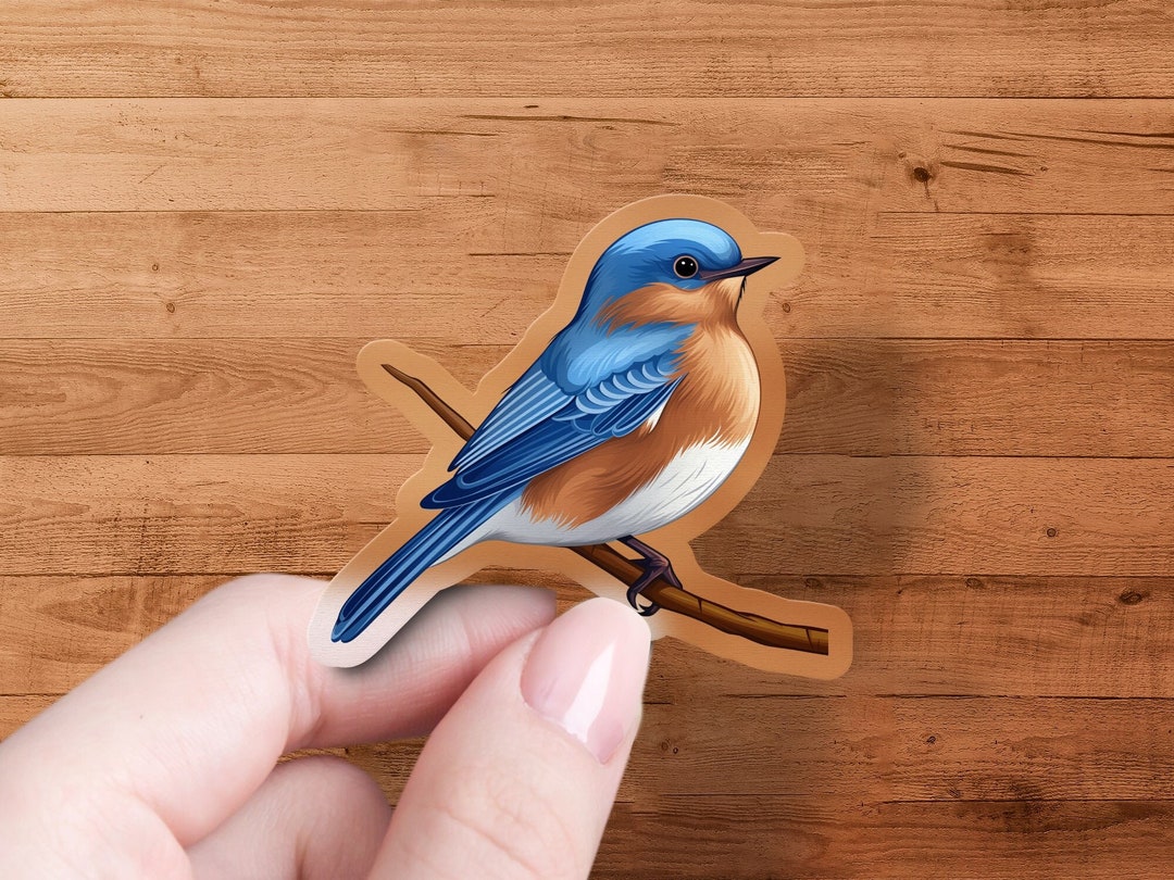Eastern Bluebird Sticker, Bird Watcher Decal, Laptop, Car Window Decal ...