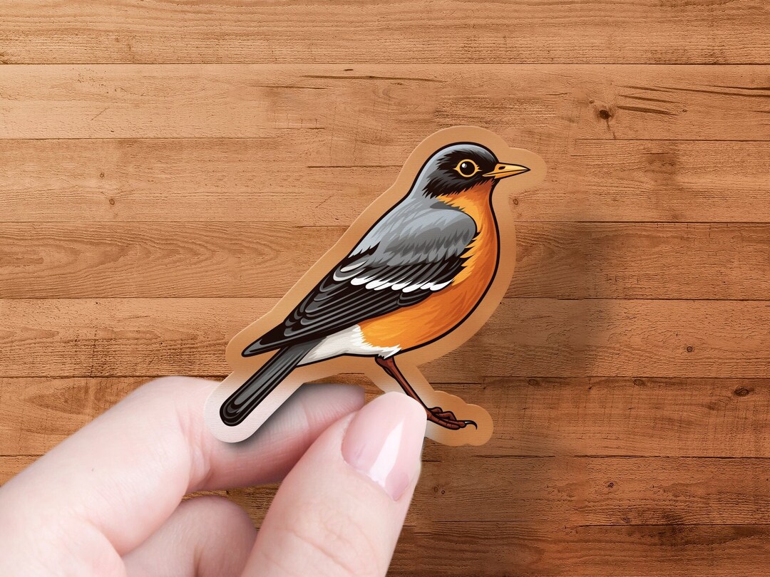 American Robin Sticker, Bird Watcher Decal, Laptop, Car Window Decal ...