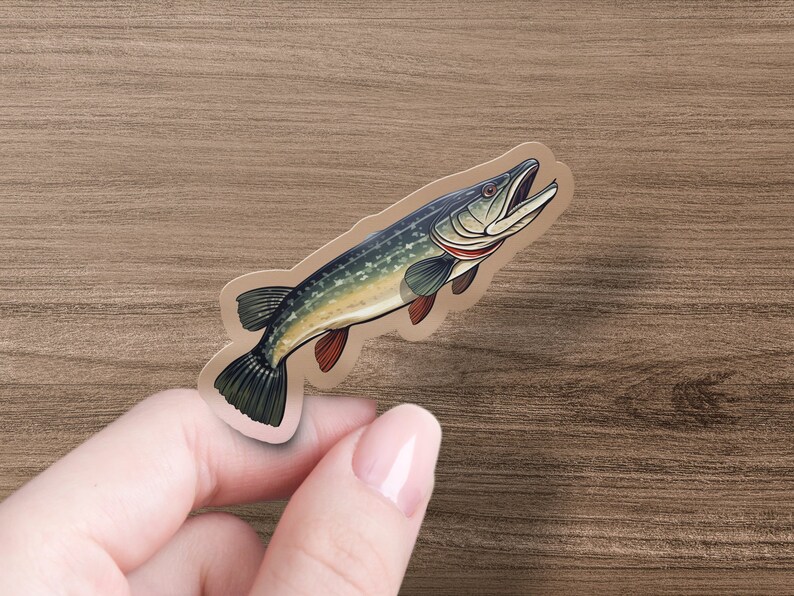 Northern Pike Sticker, Animal Decal, Laptop, Car Window Decal, Water ...