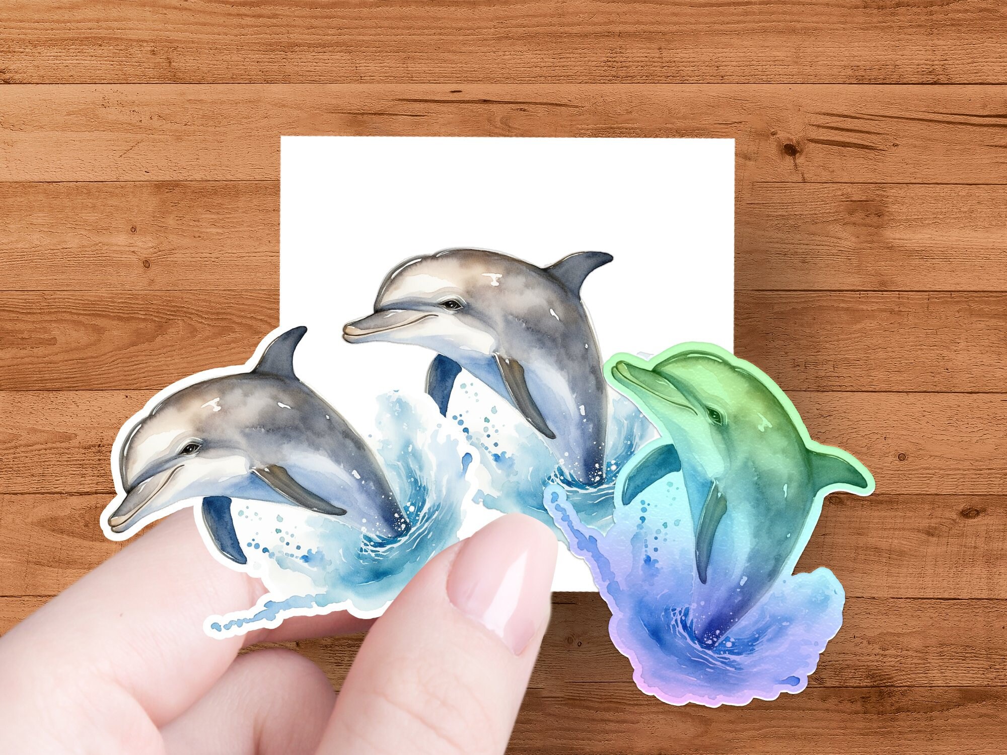Dolphin Sticker, Vinyl Decal, Ocean Decal, Cute Dolphin Vinyl Sticker ...
