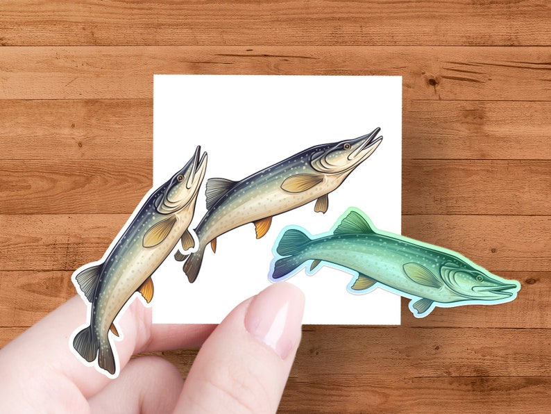 Northern Pike Sticker, Animal Decal, Laptop, Car Window Decal, Water ...