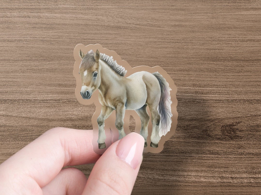 Pony Sticker, Vinyl Decal, Horse Decal, Bachelorette Party Favors ...