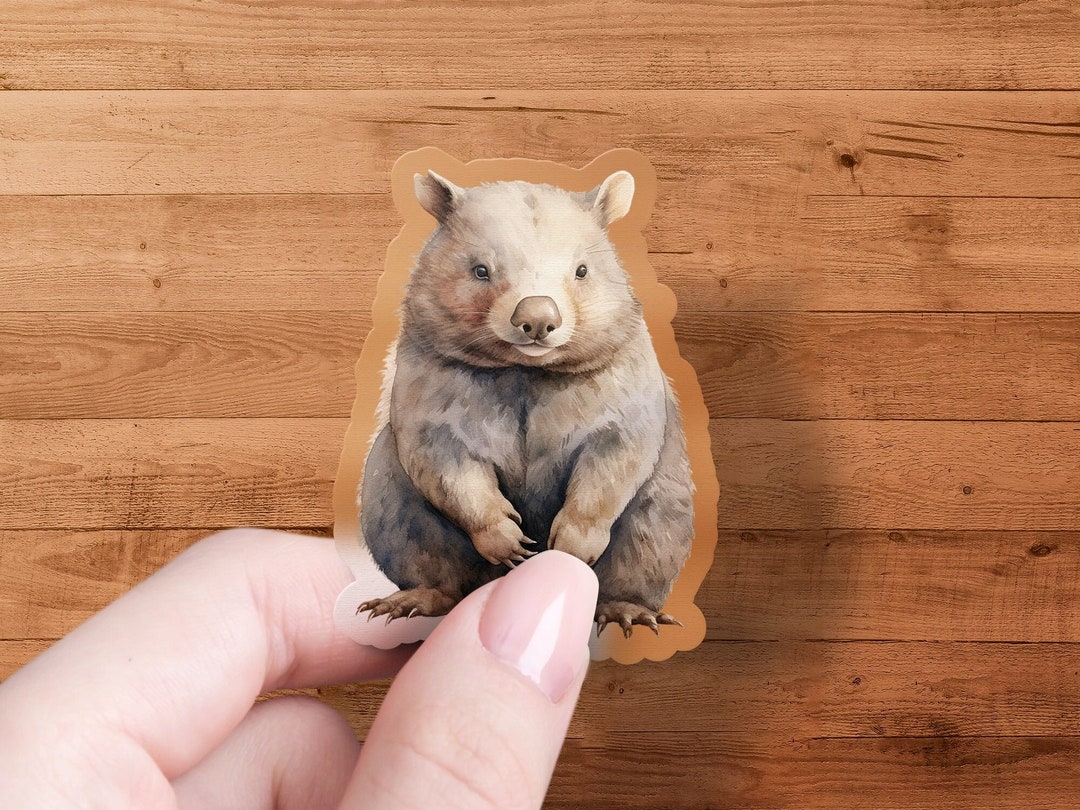 Wombat Sticker, Cute Animal Decal, Laptop, Car, Water Bottle, Premium ...
