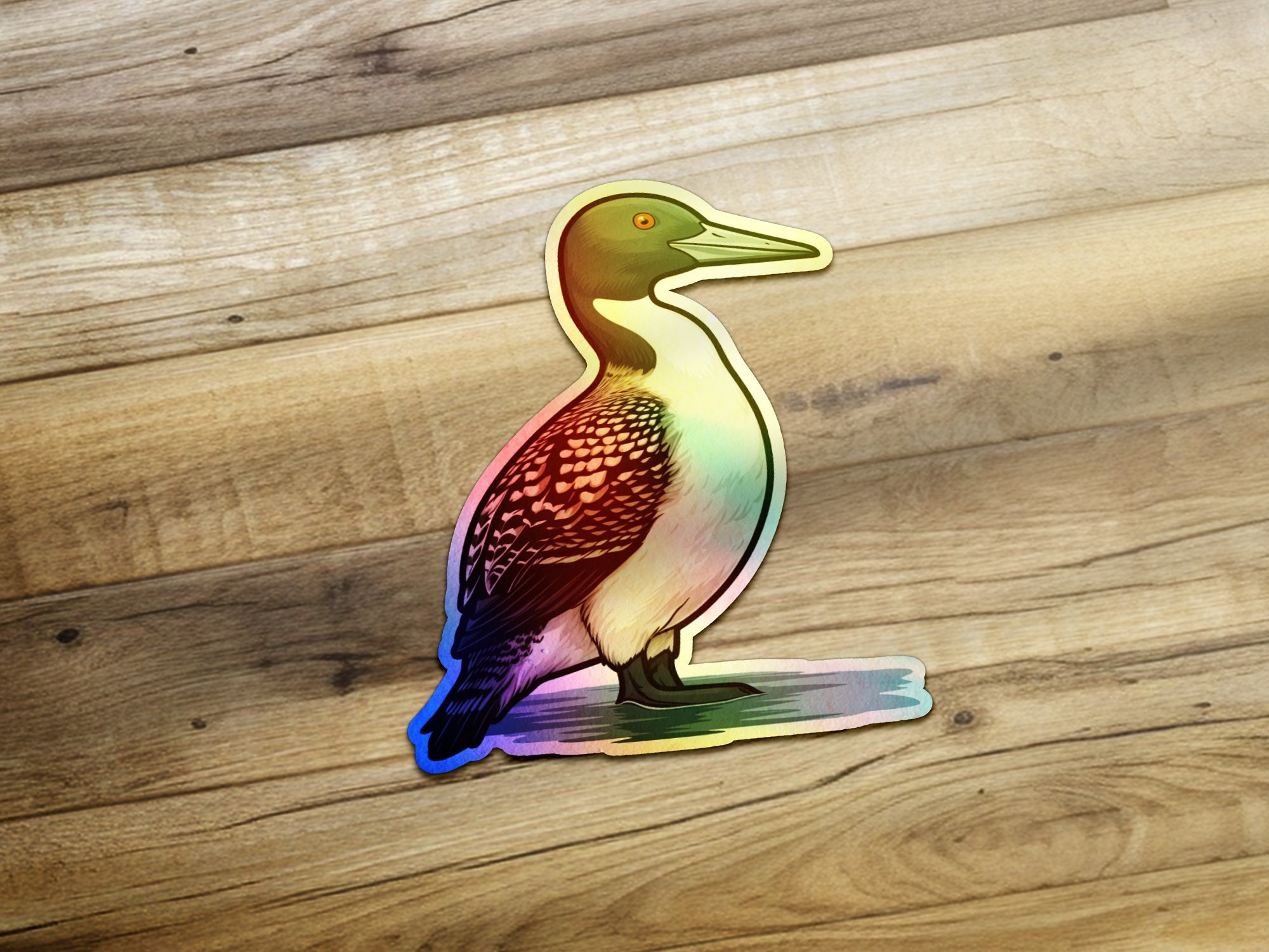 Common Loon Sticker, Bird Watcher Decal, Laptop, Car Window Decal ...