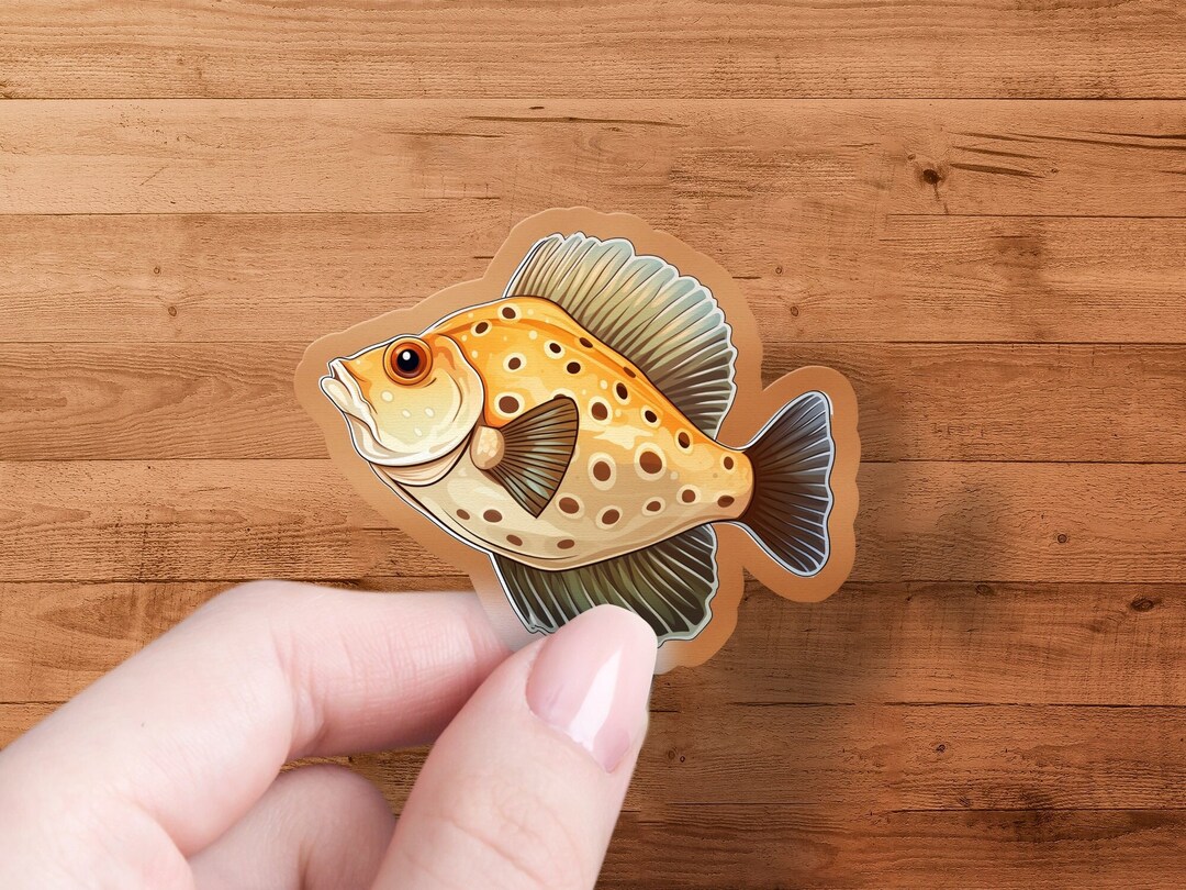 Flounder Sticker, Animal Decal, Laptop, Car Window Decal, Water Bottle ...