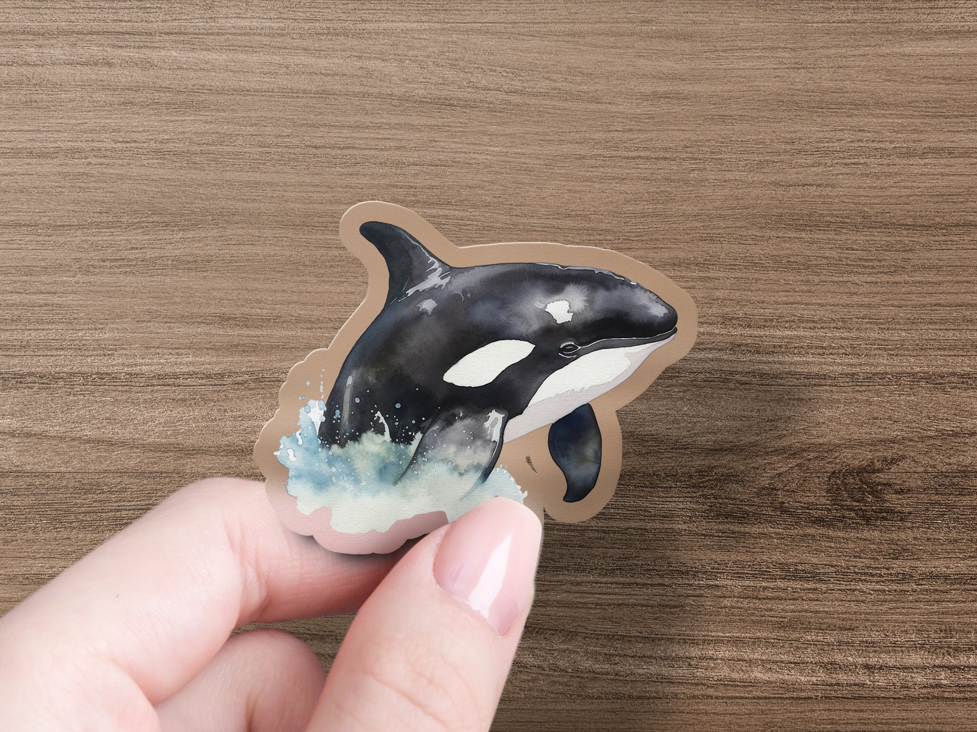 Killer Whale Sticker Die Cut Vinyl Decal Ocean Themed - Etsy