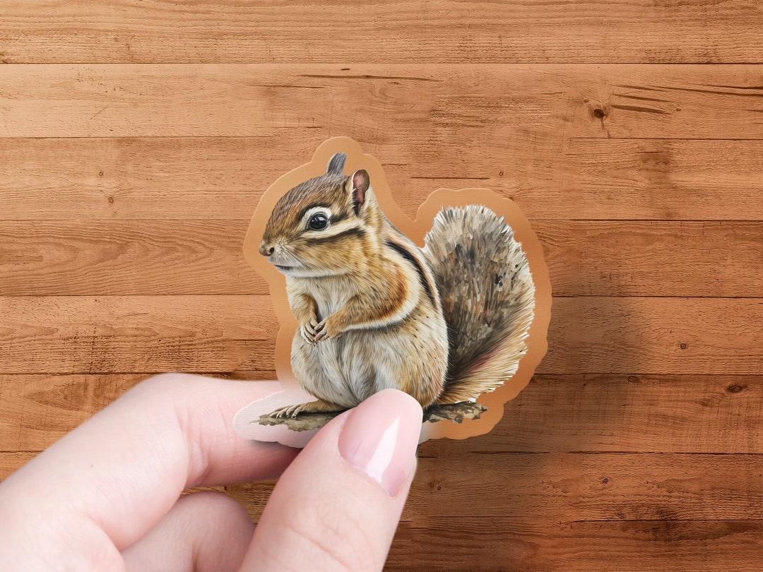 Chipmunk Sticker, Cute Animal Decal, Laptop, Car, Water Bottle, Premium ...