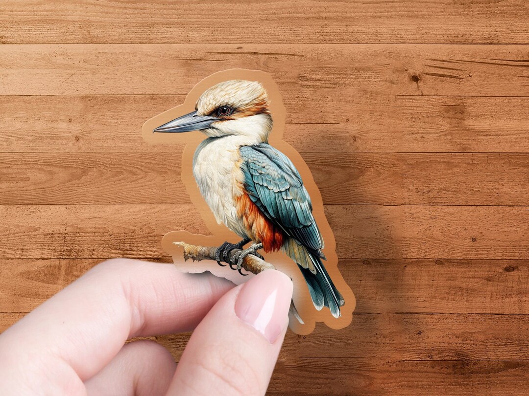 Kookaburra Sticker, Cute Animal Decal, Laptop, Car, Water Bottle ...