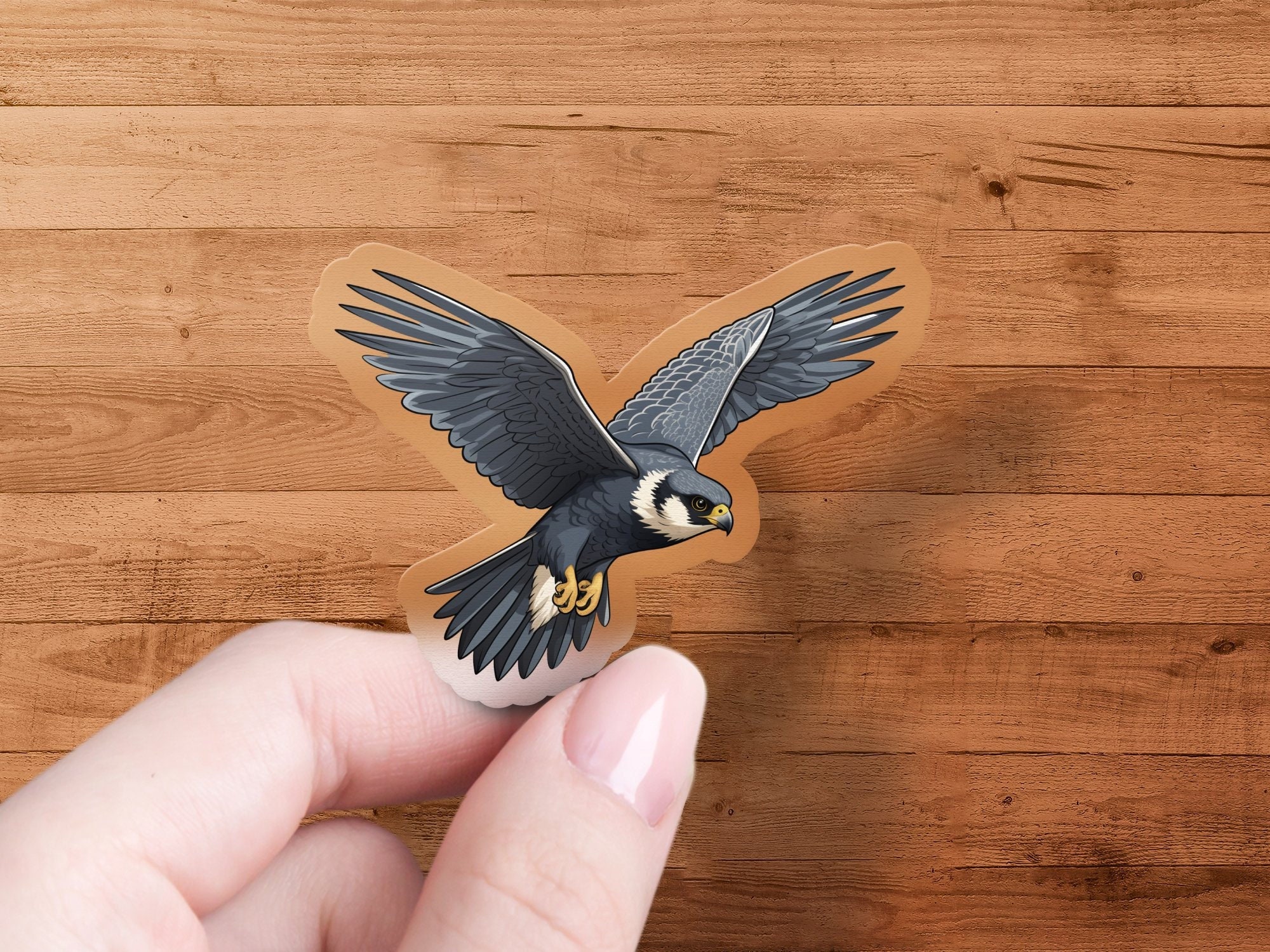 Peregrine Falcon Sticker, Bird Watcher Decal, Laptop, Car Window Decal ...