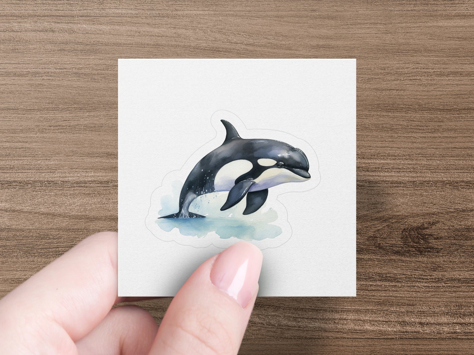 Killer Whale Sticker Vinyl Decal Ocean Decal Cute Stickers - Etsy