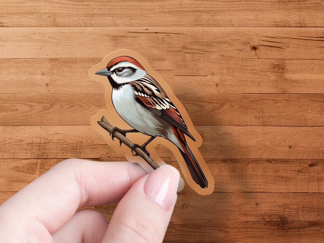 Chipping Sparrow Sticker, Bird Watcher Decal, Laptop, Car Window Decal ...