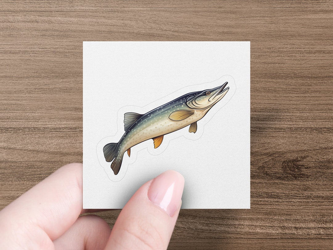 Northern Pike Sticker, Animal Decal, Laptop, Car Window Decal, Water ...