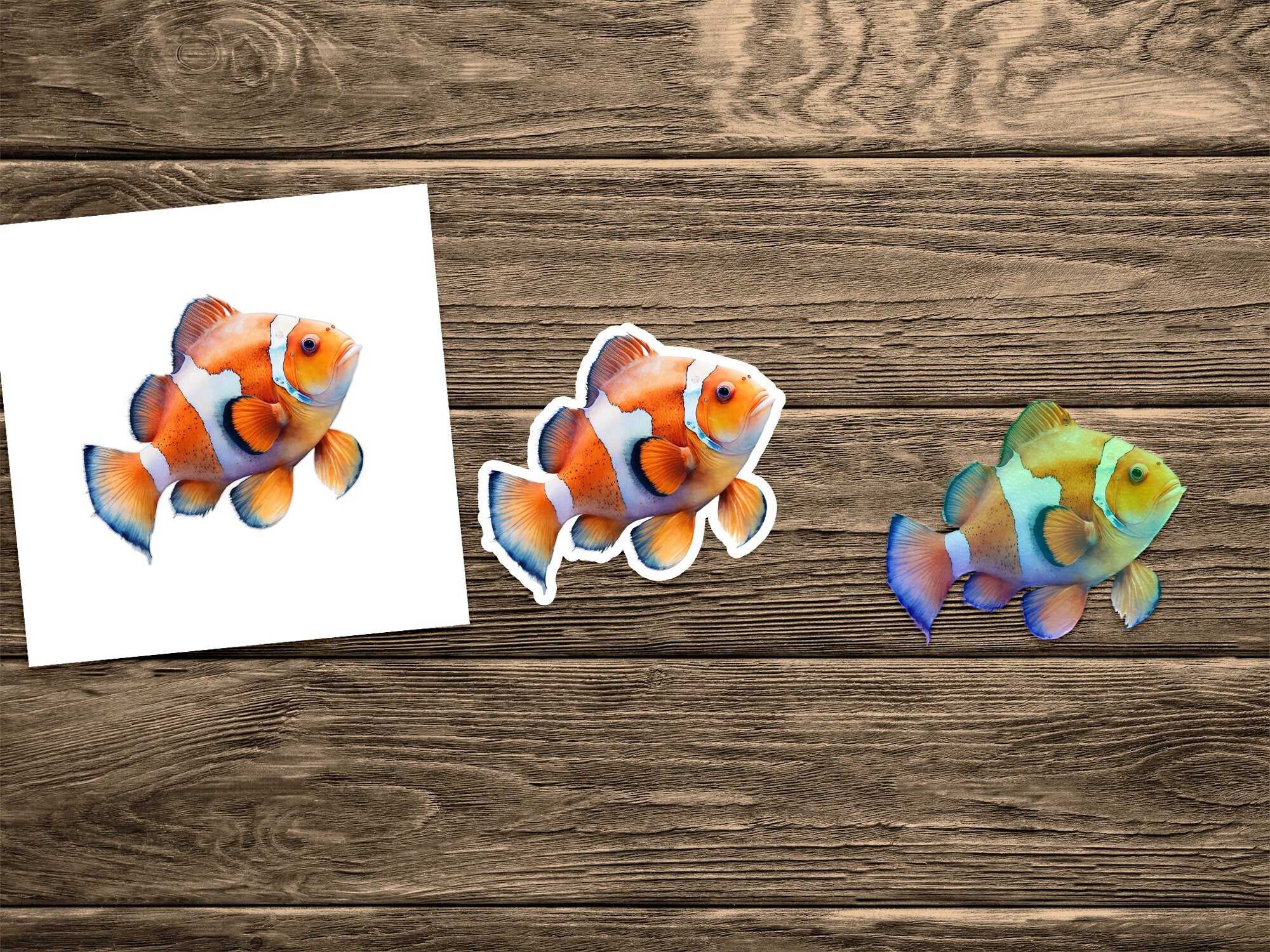 Clown Fish Sticker Ocean Decal Ocean Animals Stickers Ocean - Etsy