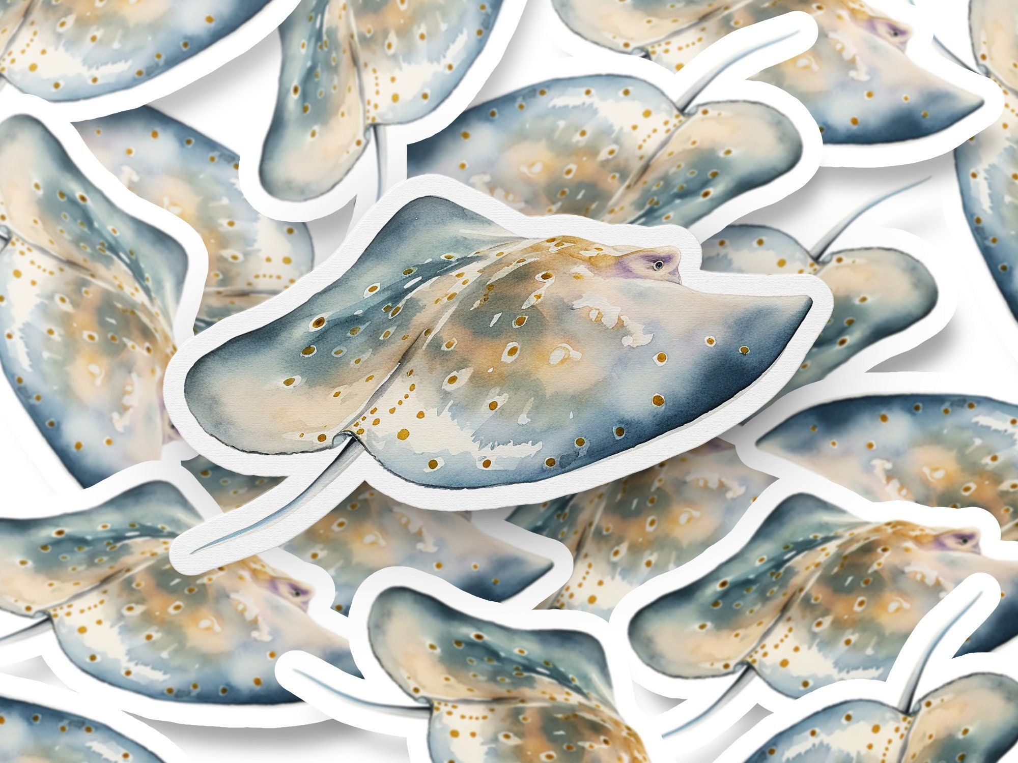 Sting Ray Sticker Car Vinyl Decal Marine Animal Sticker - Etsy