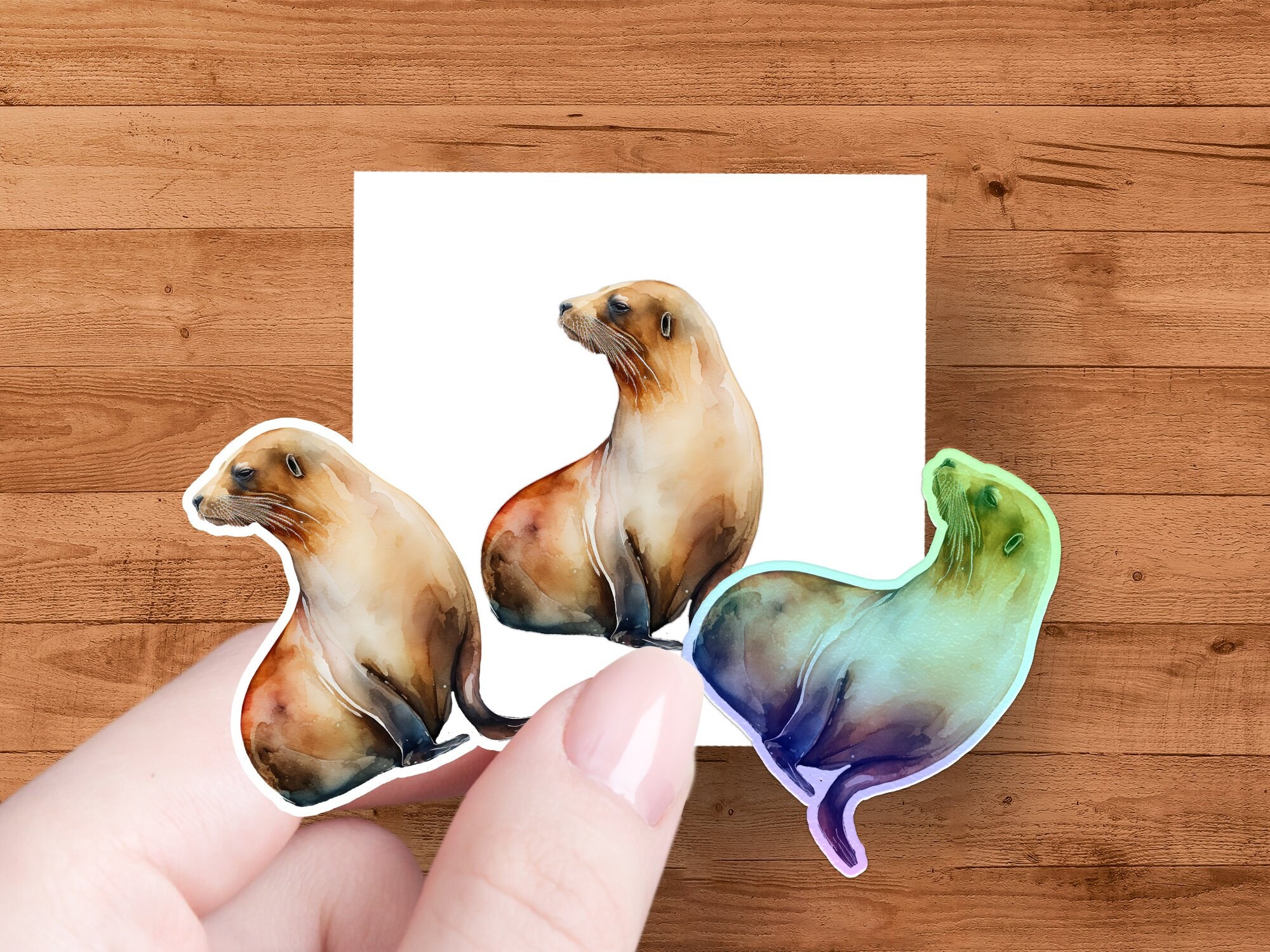 Seal Sticker Premium Quality Seal Decal Seal Fan Gifts Seal - Etsy