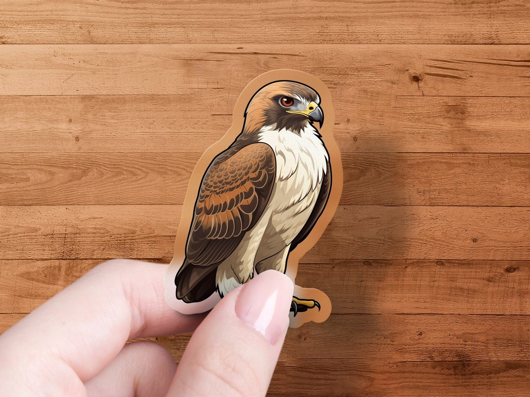 Red-tailed Hawk Sticker, Bird Watcher Decal, Laptop, Car Window Decal ...