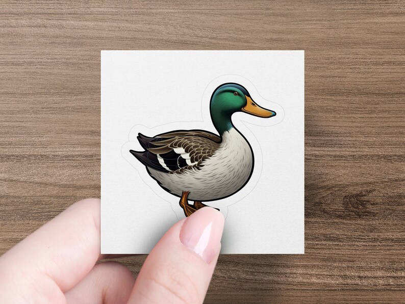 Mallard Duck Sticker, Bird Watcher Decal, Laptop, Car Window Decal ...