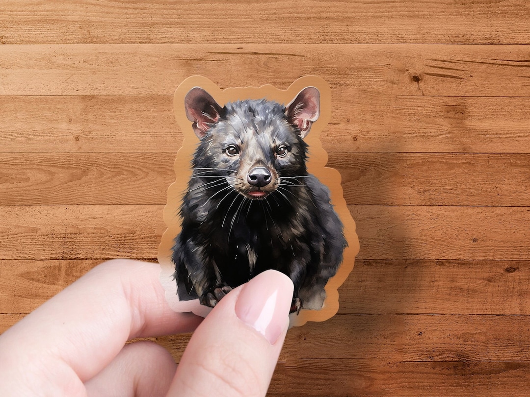 Tasmanian Devil Sticker, Waterproof Vinyl Decal - Etsy