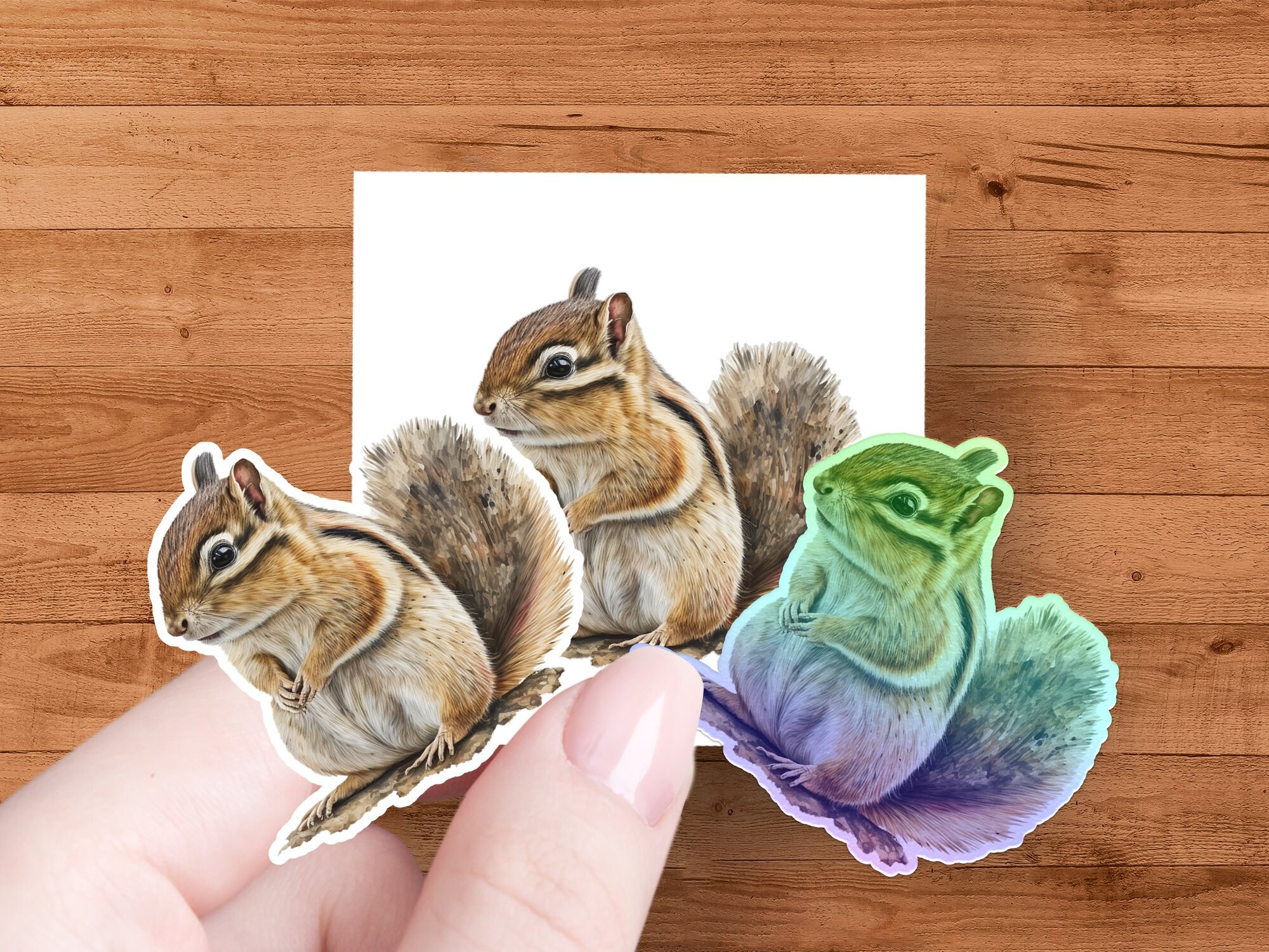 Chipmunk Sticker, Cute Animal Decal, Laptop, Car, Water Bottle, Premium ...