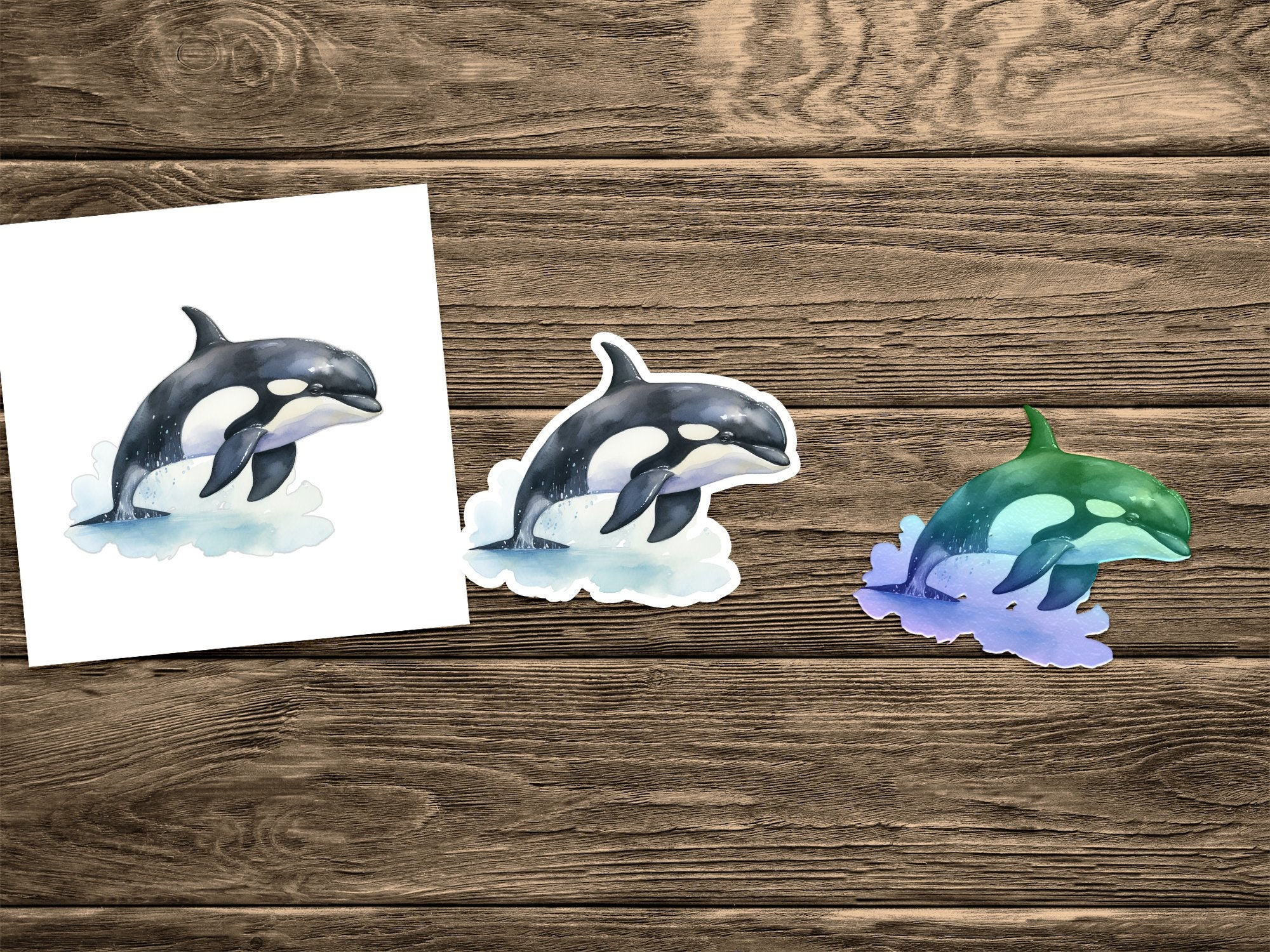 Killer Whale Sticker Vinyl Decal Ocean Decal Cute Stickers - Etsy
