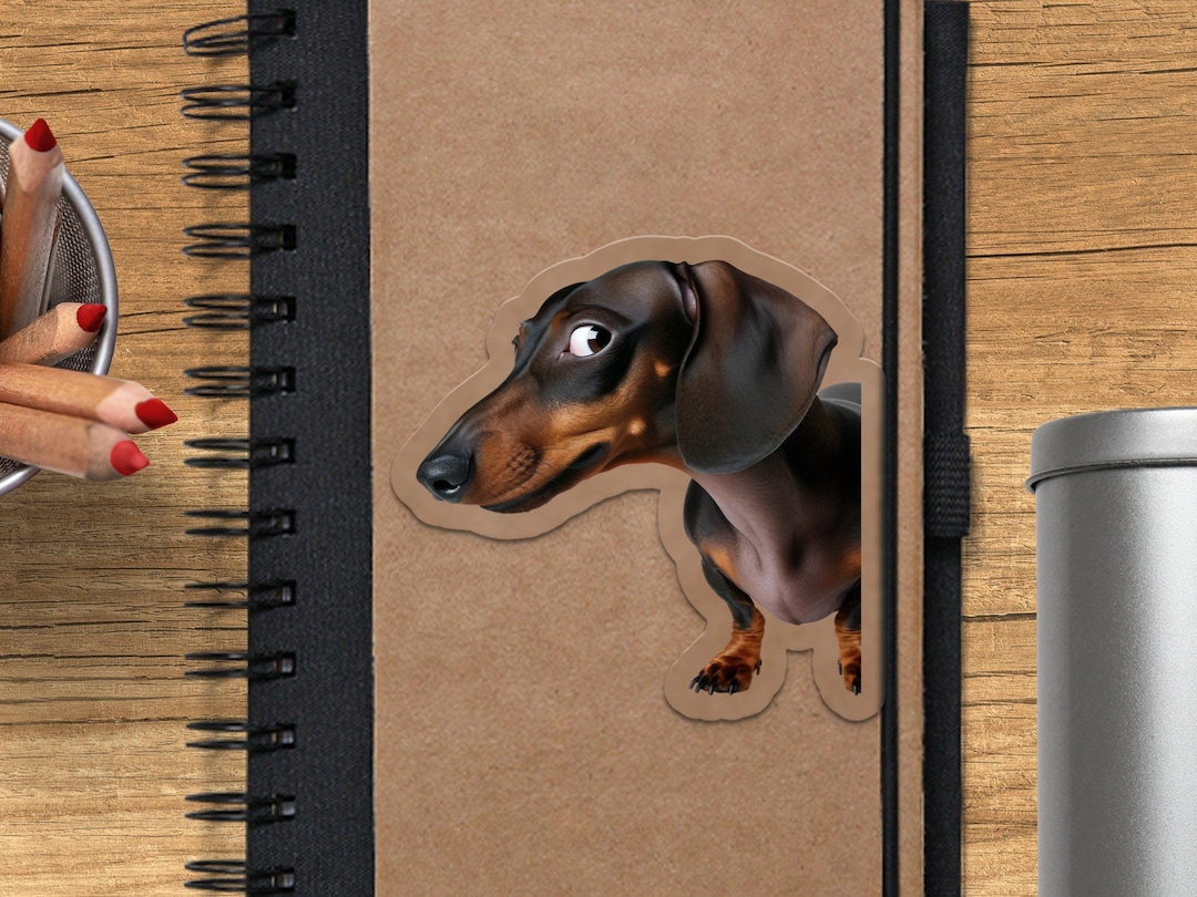 Dachshund Side-eye Sticker, Funny Dog Sticker, Cute Dachshund Decal ...