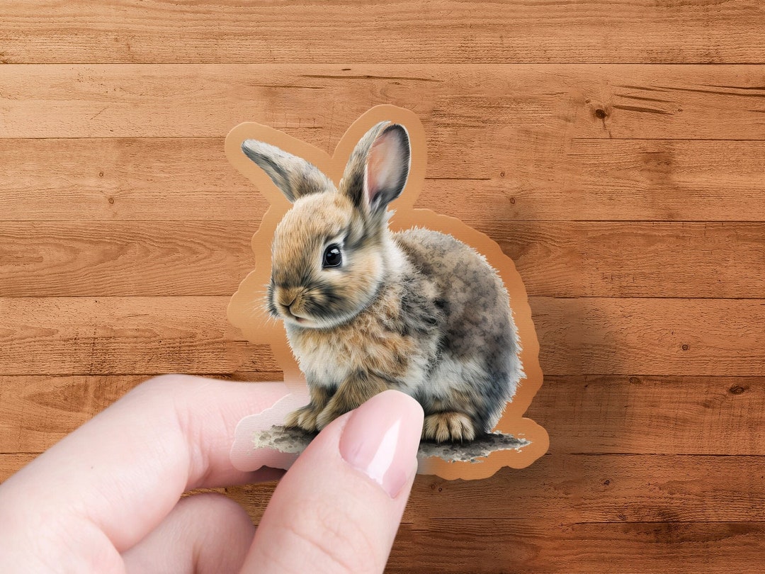 Cute Bunny Sticker, Easter Bunny Face Sticker, Car Decal, Water Bottle ...