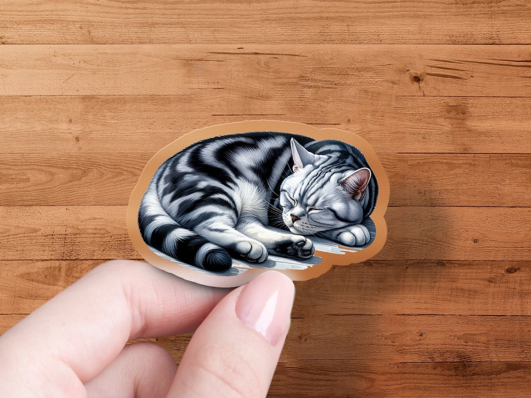 Sleeping Cat Sticker, Realistic Tabby Cat Nap Decal, Cute Kitten Laptop ...