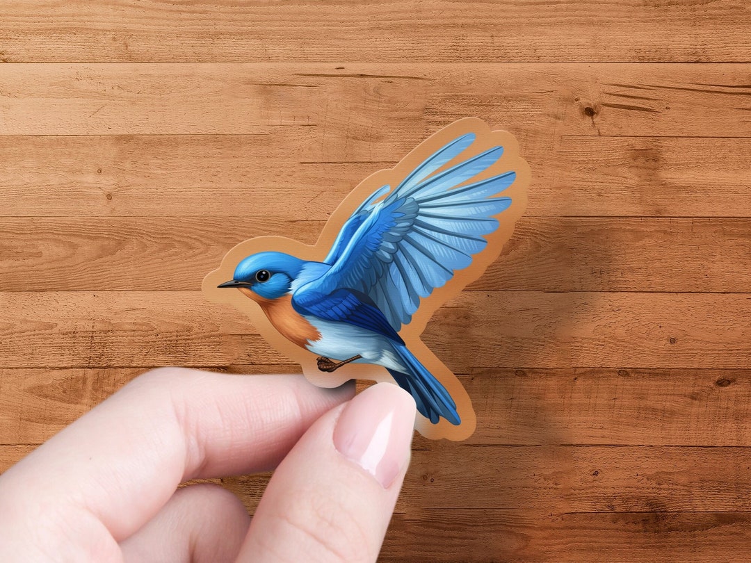 Eastern Bluebird Sticker, Bird Watcher Decal, Laptop, Car Window Decal ...
