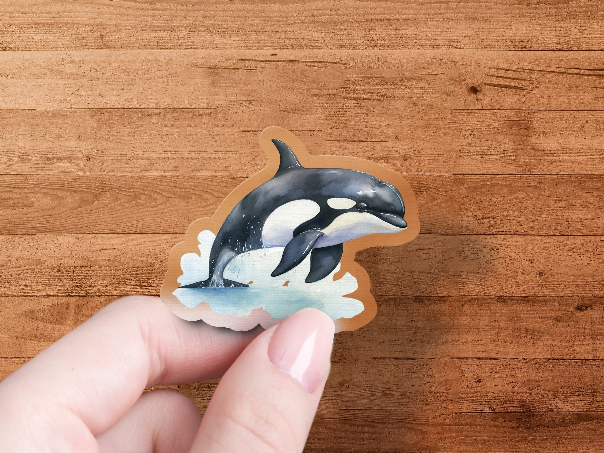 Killer Whale Sticker Vinyl Decal Ocean Decal Cute Stickers - Etsy
