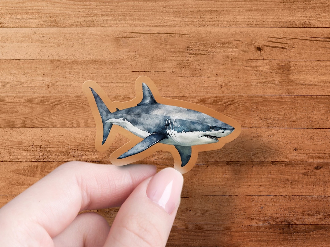 Great White Shark Sticker, Shark Sticker, Ocean Lover Gifts for Boys or ...