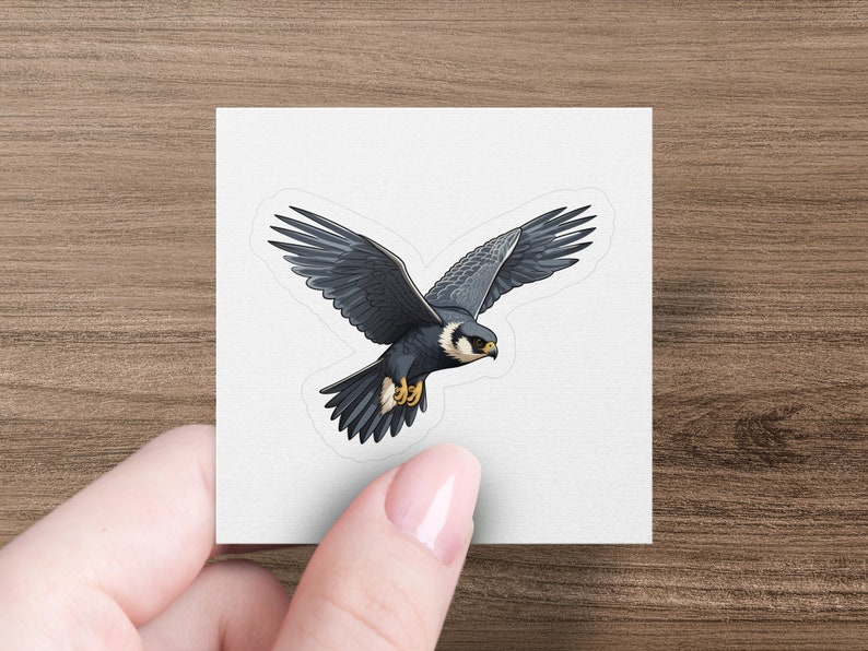 Peregrine Falcon Sticker, Bird Watcher Decal, Laptop, Car Window Decal ...