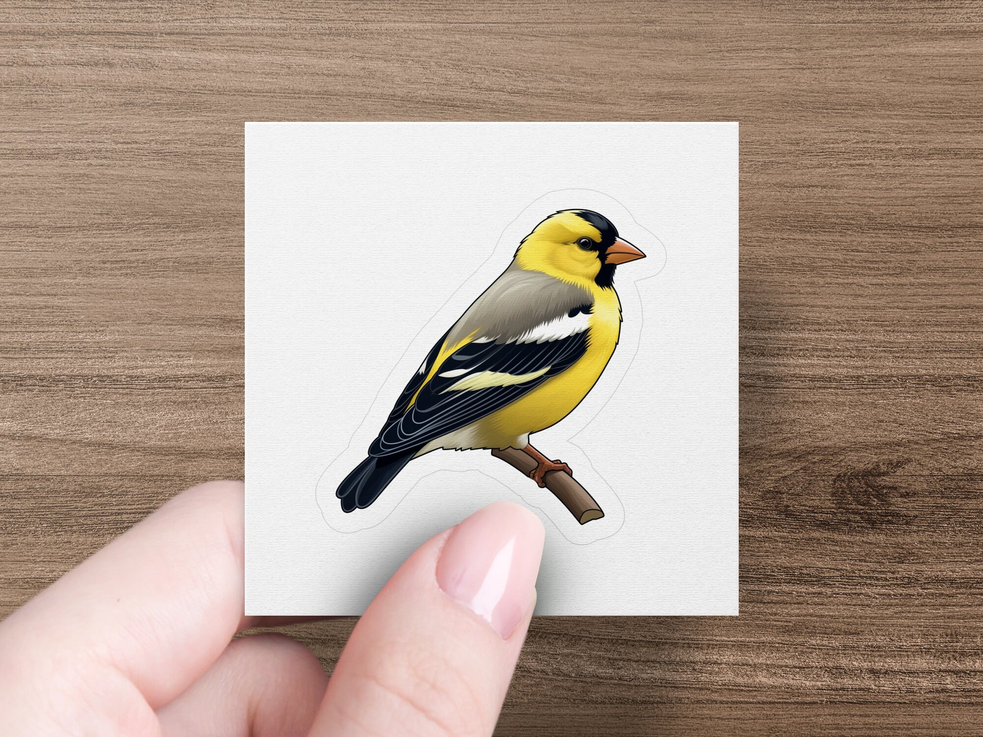 American Goldfinch Sticker Bird Watcher Decal Laptop Car - Etsy