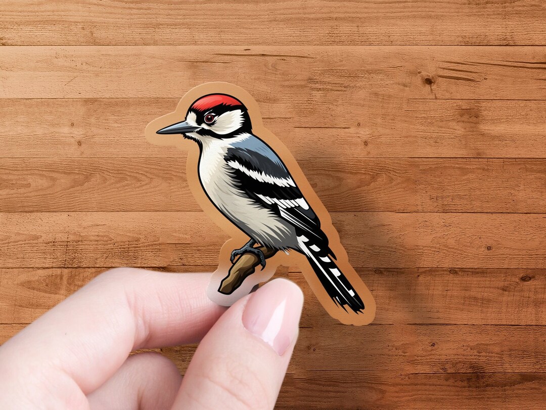 Downy Woodpecker Sticker, Bird Watcher Decal, Laptop, Car Window Decal ...