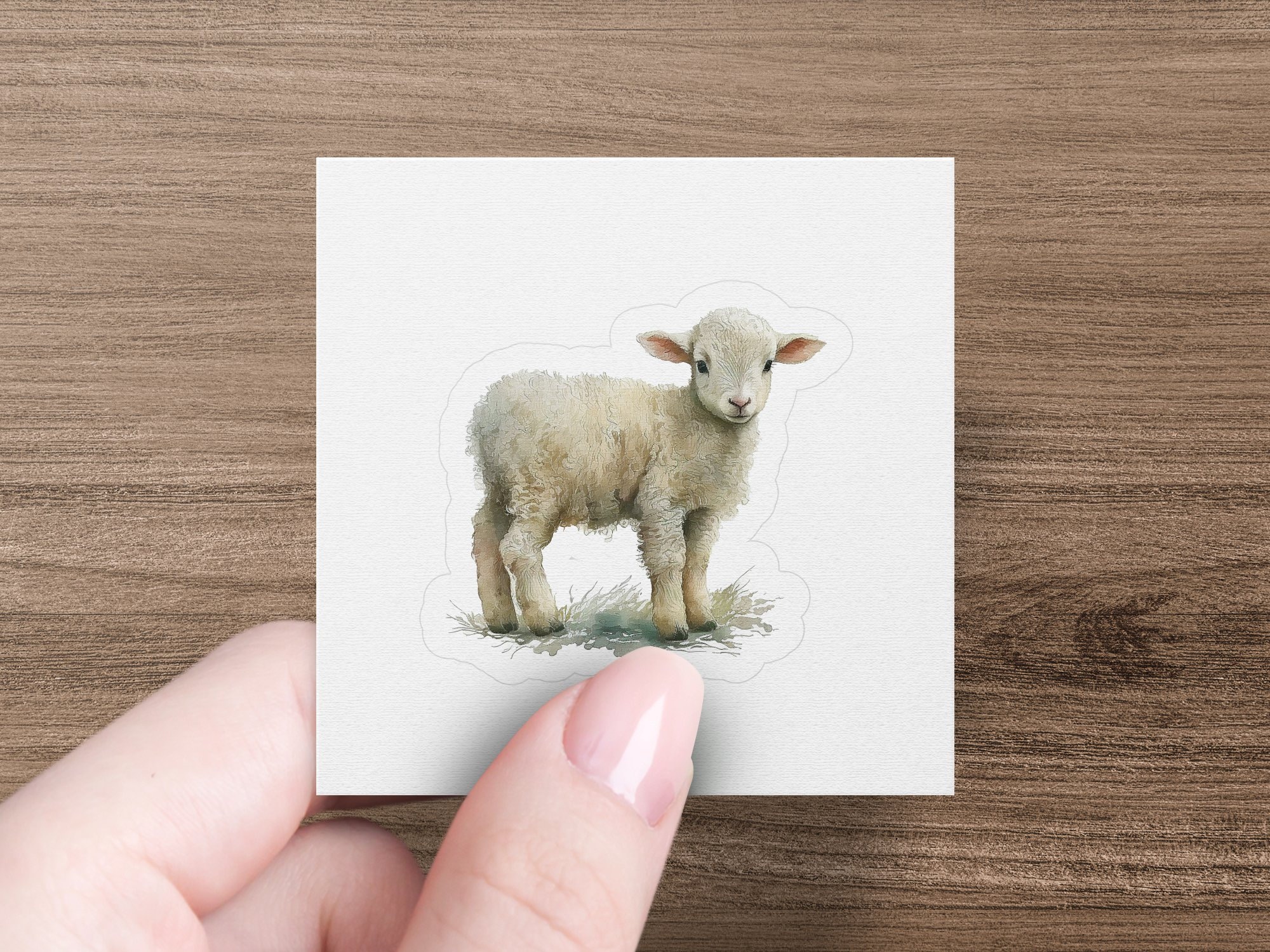 Lamb Sticker Vinyl Decal Die Cut Decal Baby Sheep Decal - Etsy