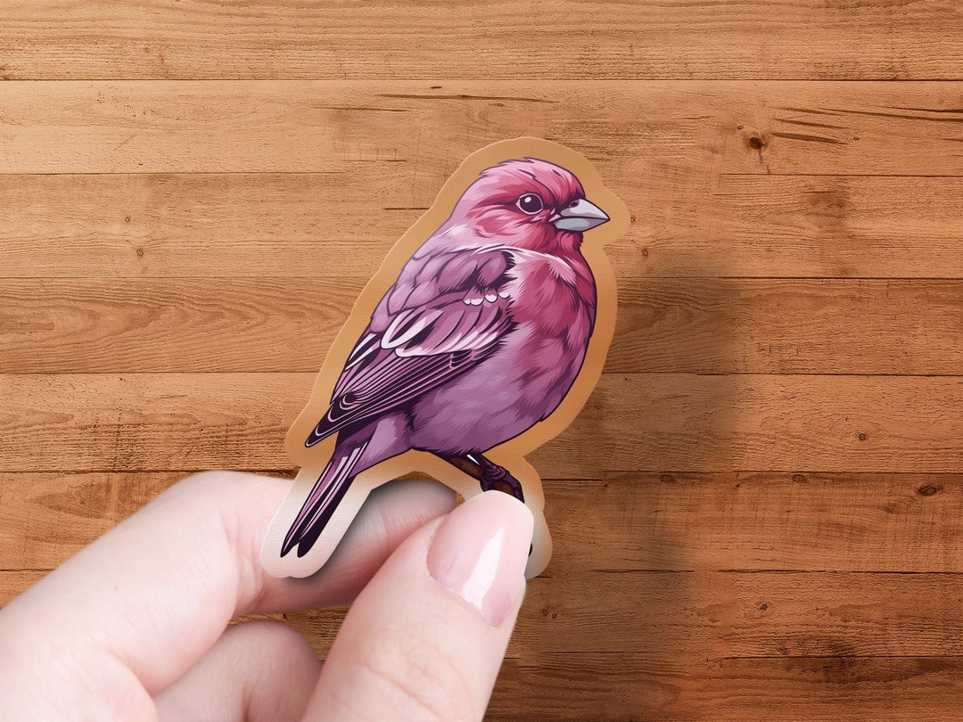 Purple Finch Sticker, Bird Watcher Decal, Laptop, Car Window Decal ...