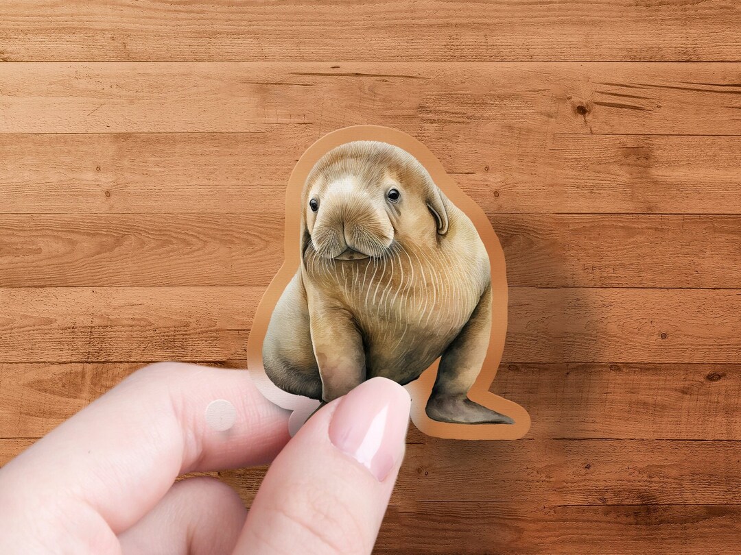 Walrus Sticker, Laptop Stickers, Vinyl Decal, Animal Stickers ...