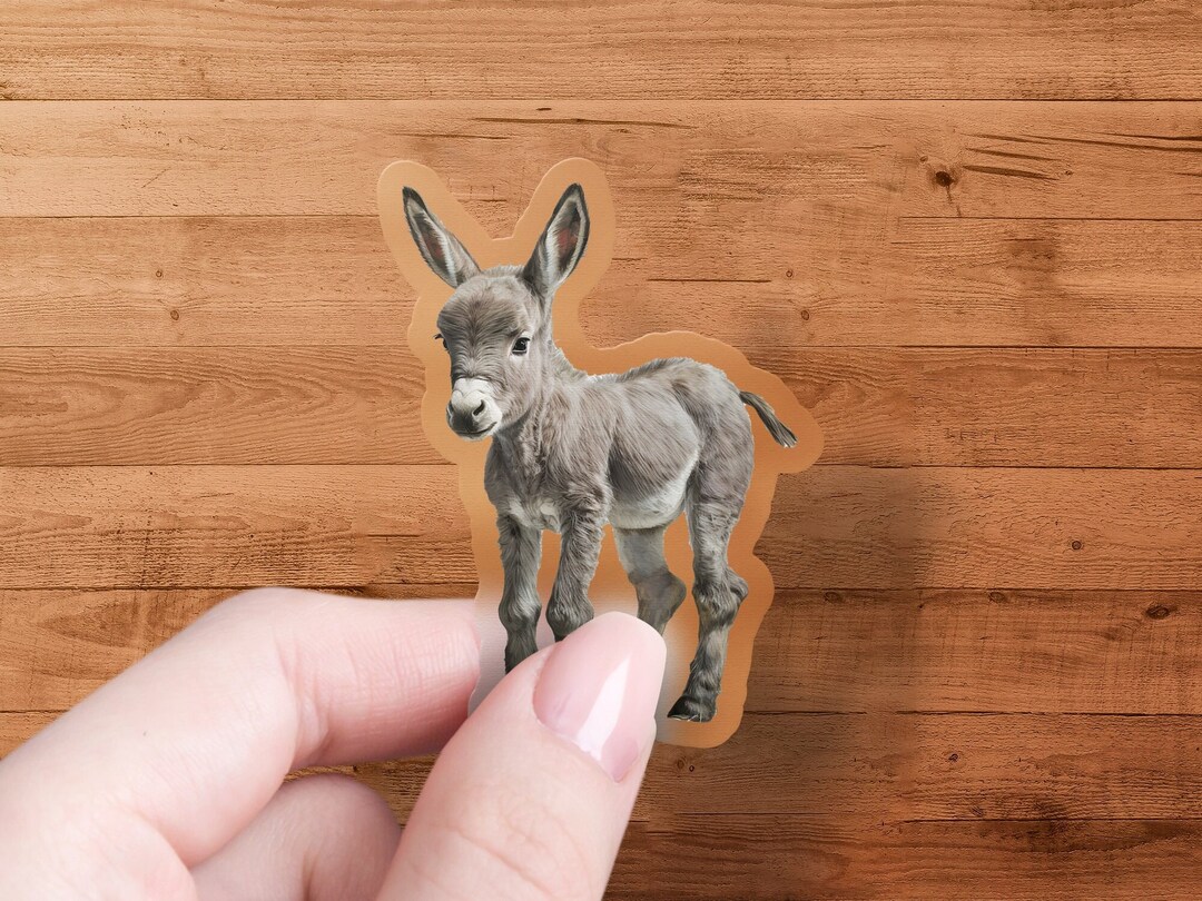 Adorable Donkey Sticker, Farm Animal Decal, Water Bottle Sticker - Etsy