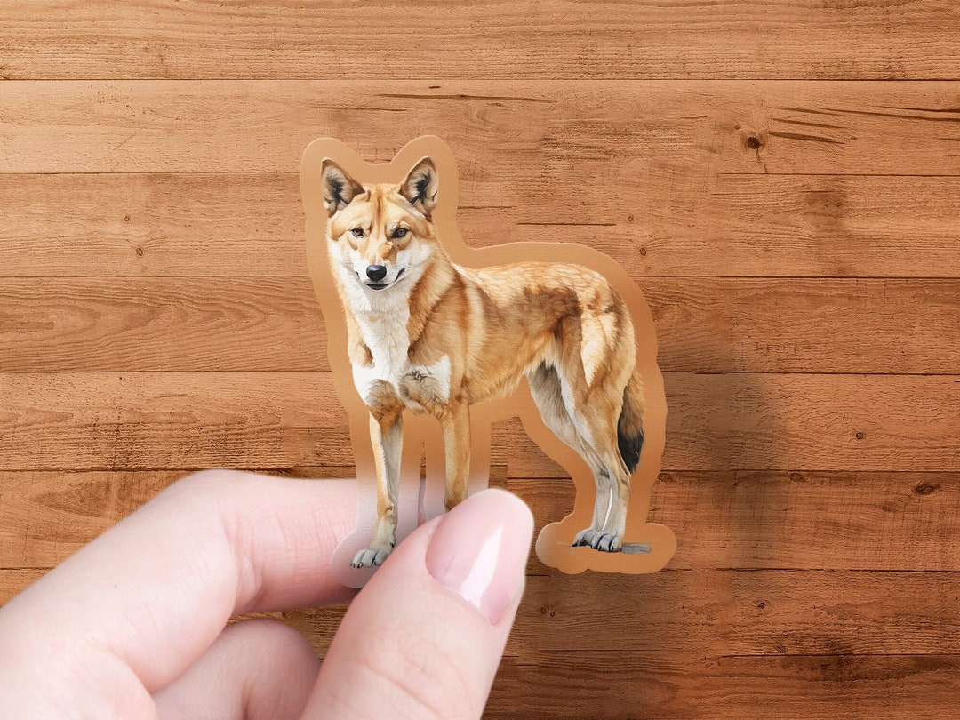 Dingo Sticker, Cute Animal Decal, Laptop, Car, Water Bottle, Premium ...
