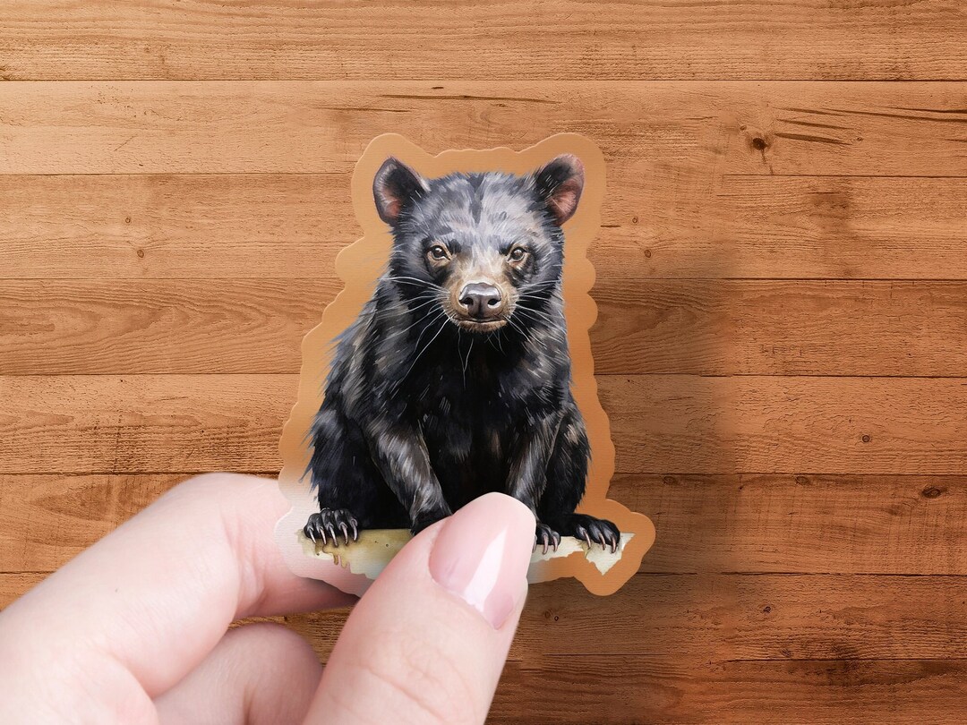 Tasmanian Devil Sticker, Cute Animal Decal, Laptop, Car, Water Bottle ...