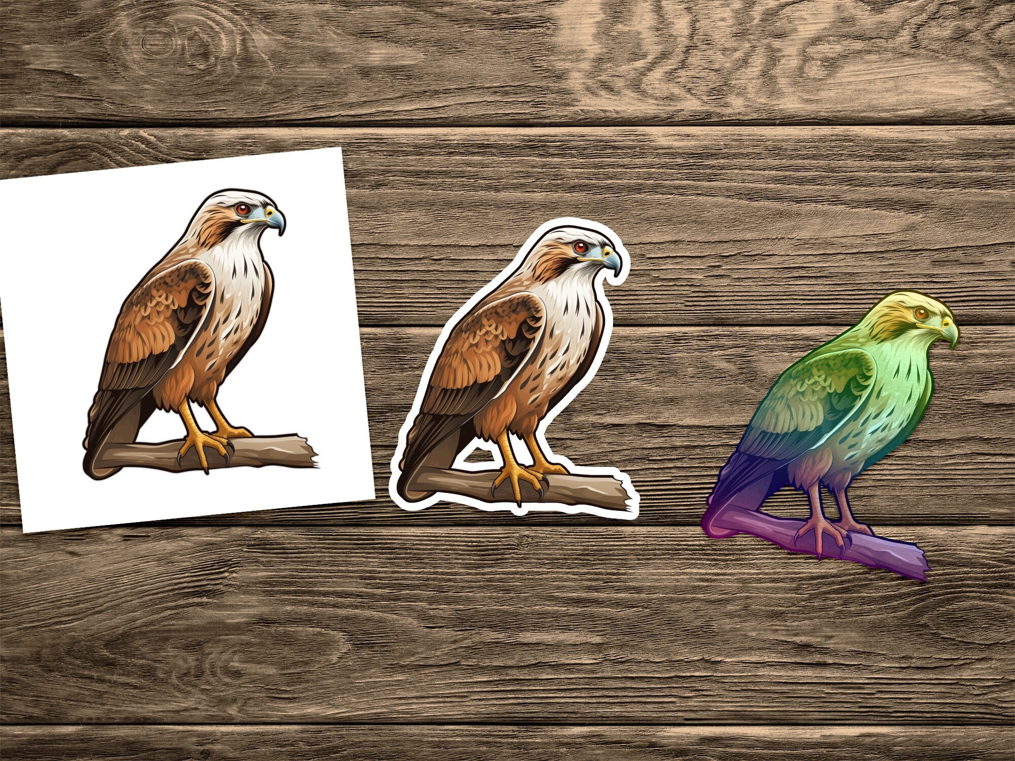 Red-tailed Hawk Sticker Bird Watcher Decal Laptop Car - Etsy