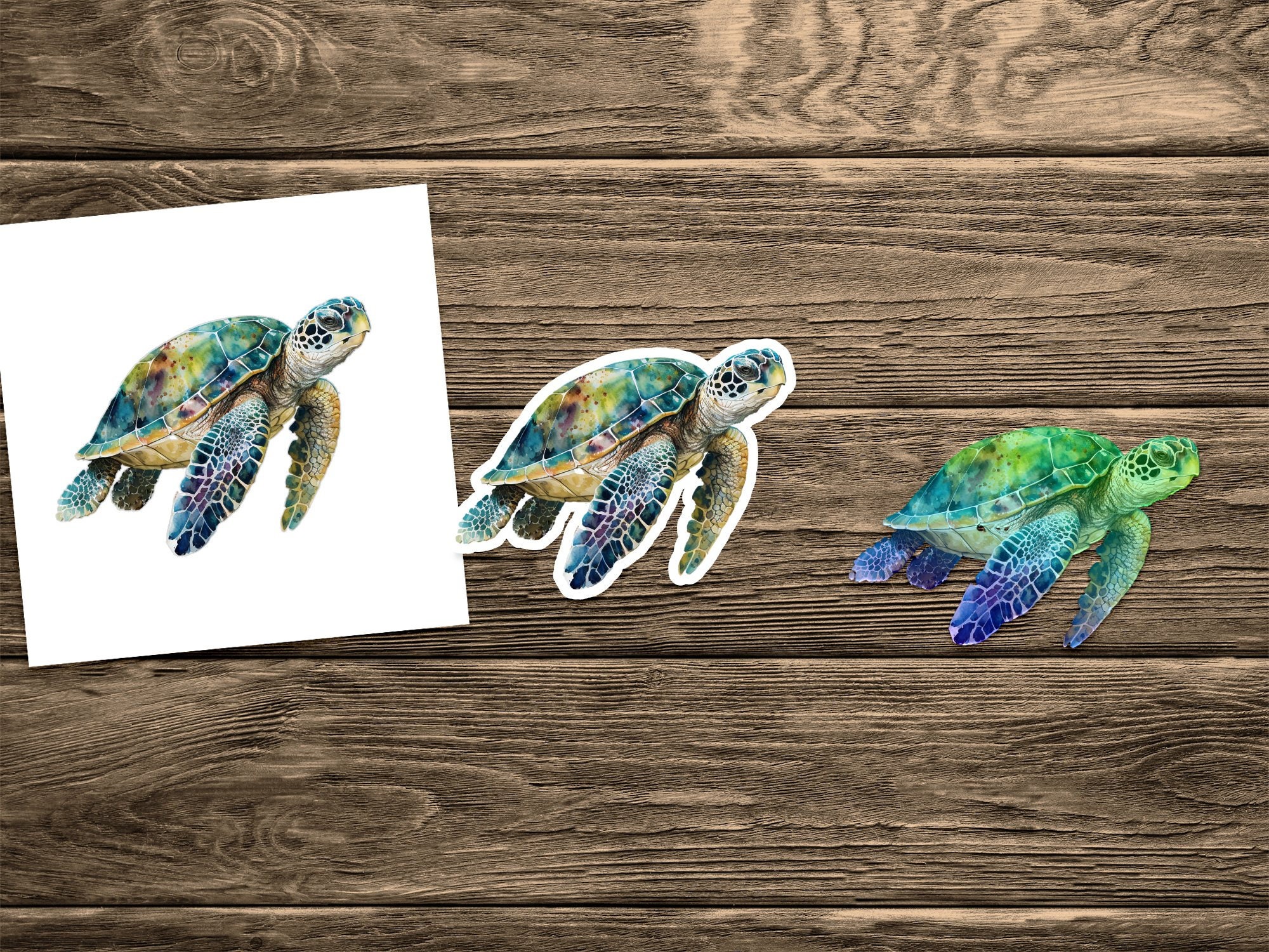 Sea Turtle Sticker, Turtle Decal, Sea Life Gifts, Ocean Vinyl Decal ...