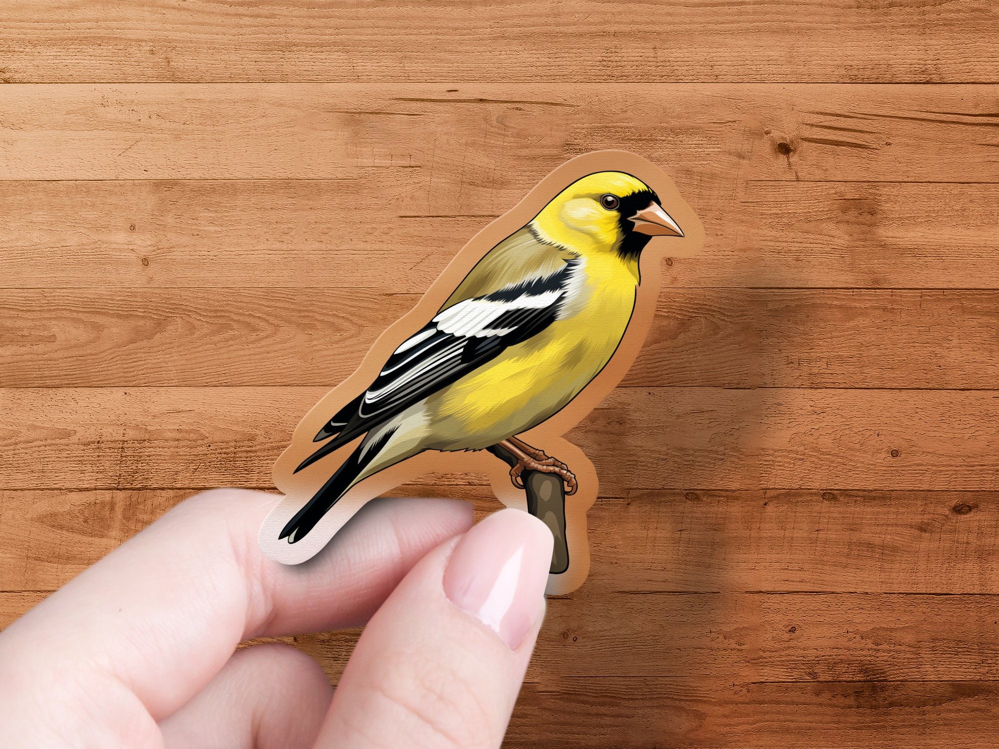American Goldfinch Sticker, Bird Watcher Decal, Laptop, Car Window ...