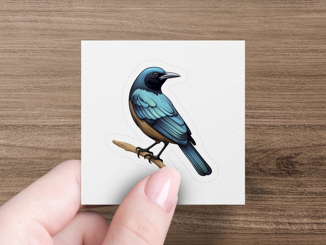 Common Grackle Sticker, Bird Watcher Decal, Laptop, Car Window Decal ...