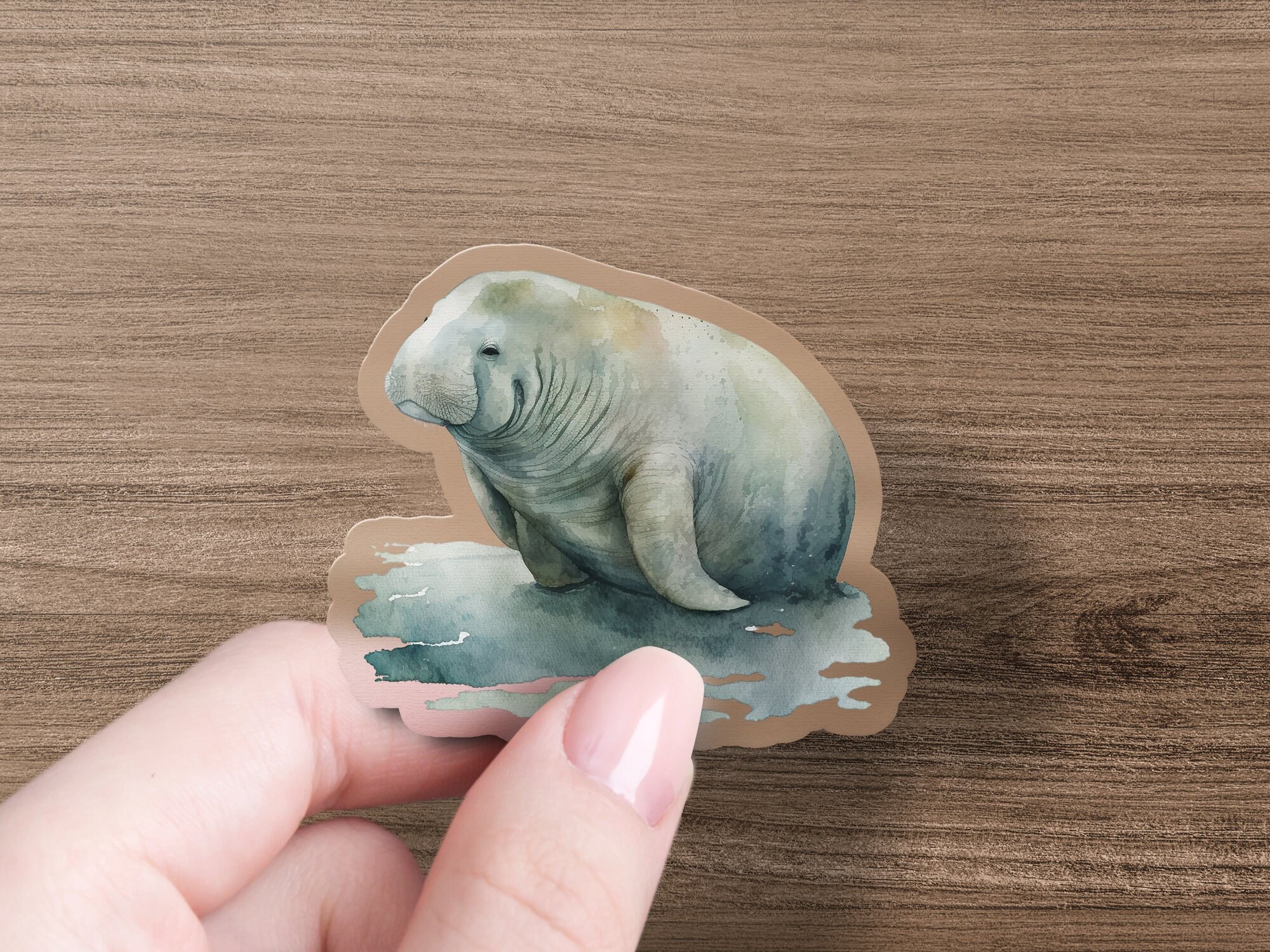 Manatee Sticker, Ocean Decal, Vinyl Decal, Sticker for Tumbler, Sticker ...
