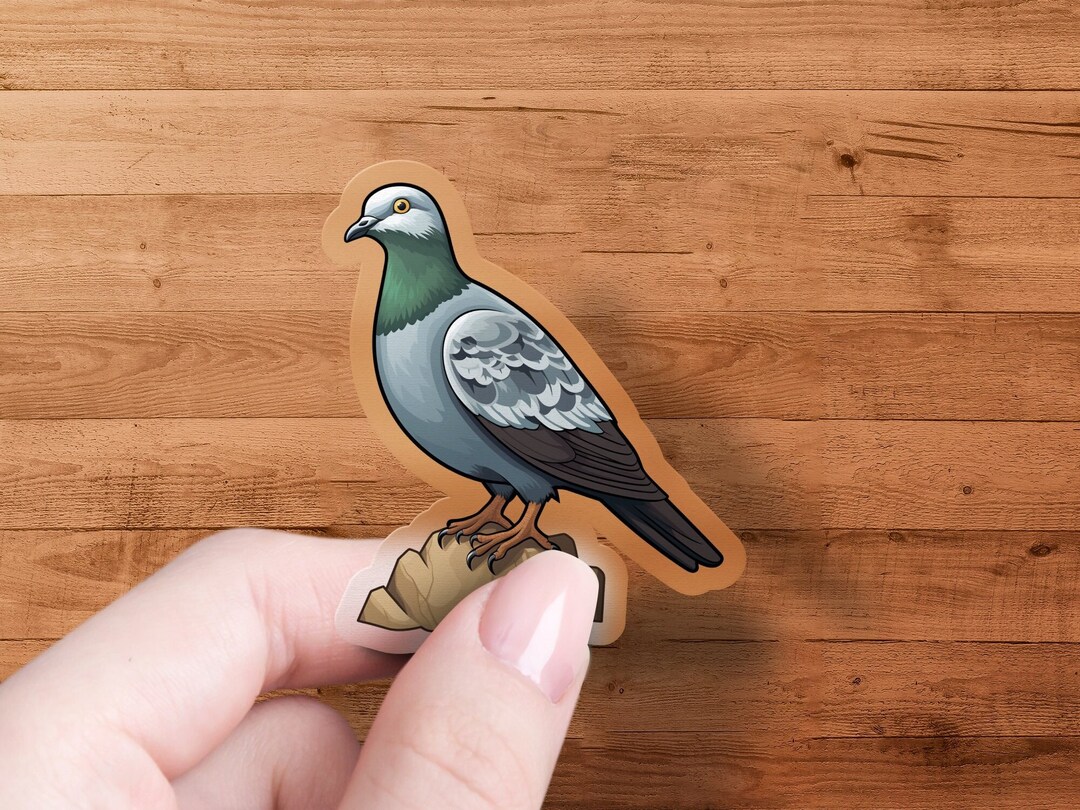 Rock Pigeon Sticker, Bird Watcher Decal, Laptop, Car Window Decal ...