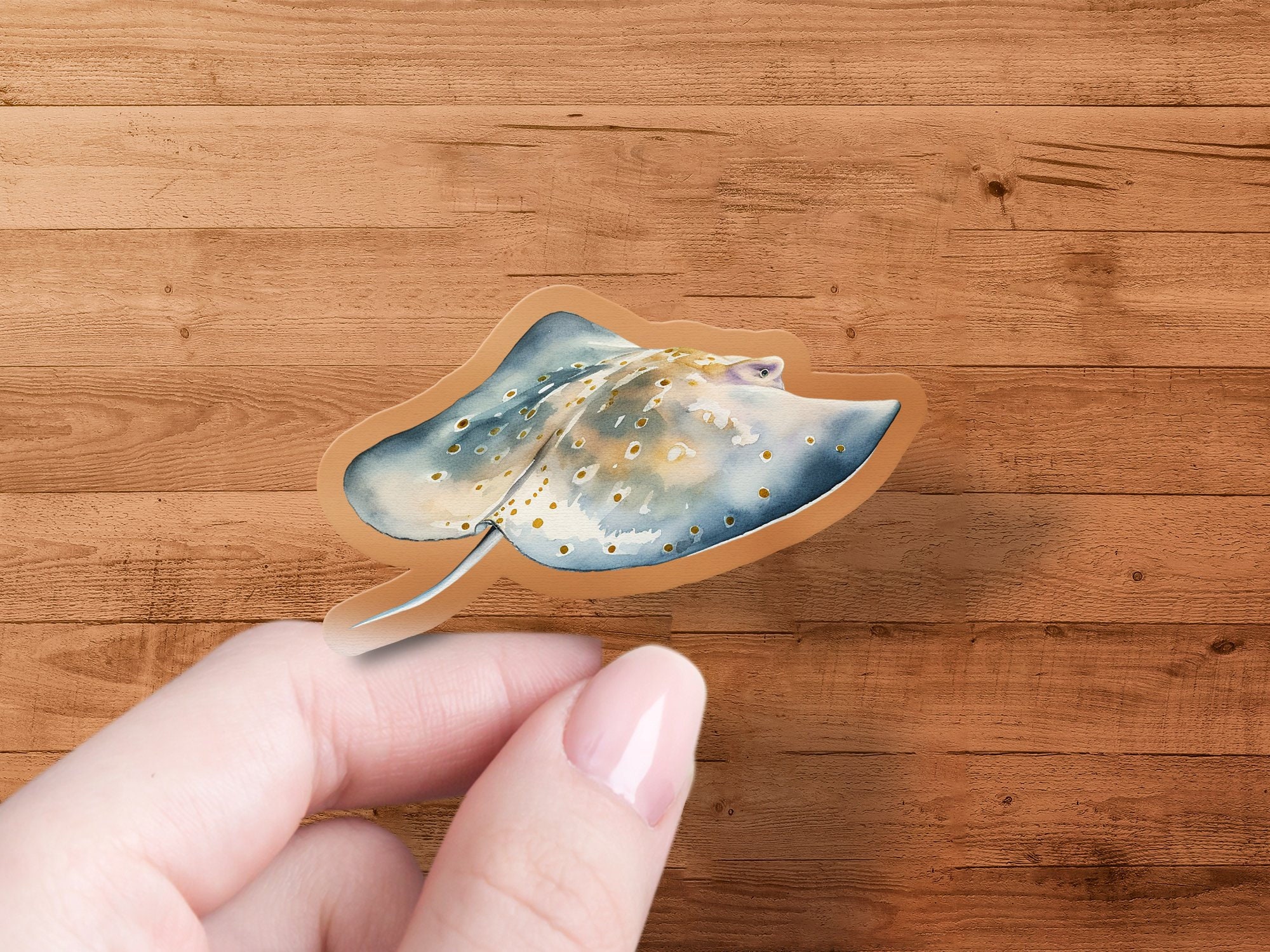 Sting Ray Sticker Car Vinyl Decal Marine Animal Sticker - Etsy