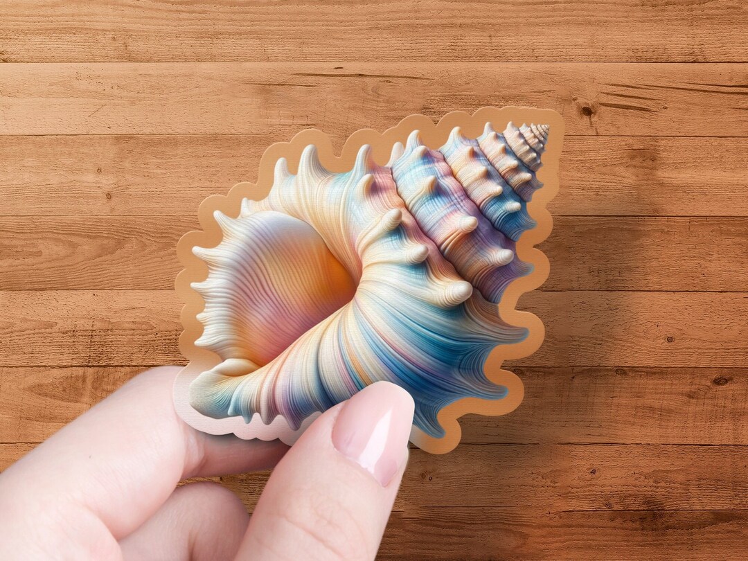 Pastel Ocean Conch Shell Sticker, Beachy Aesthetic, Waterproof Vinyl ...