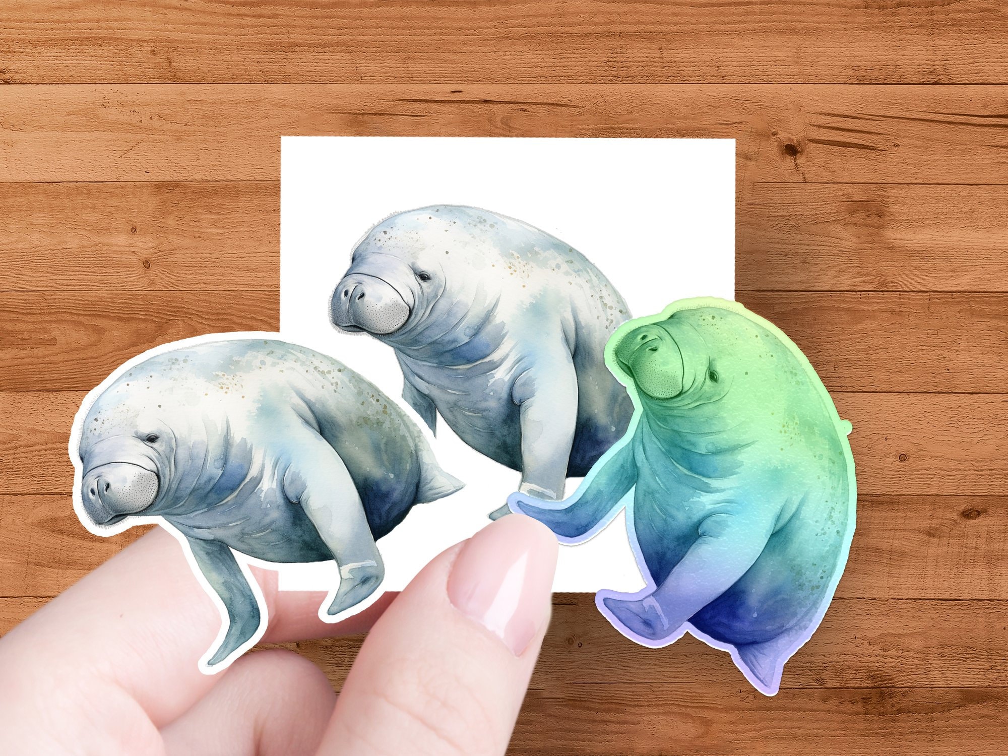 Manatee Sticker Vinyl Decal Manatee Car Decal Manatee Gift - Etsy