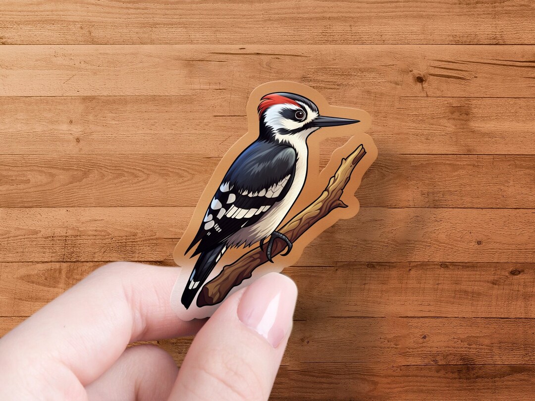 Hairy Woodpecker Sticker, Bird Watcher Decal, Laptop, Car Window Decal ...